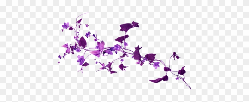 Dear Bohemian Man [book] - Free Transparent PNG Clipart Images Download